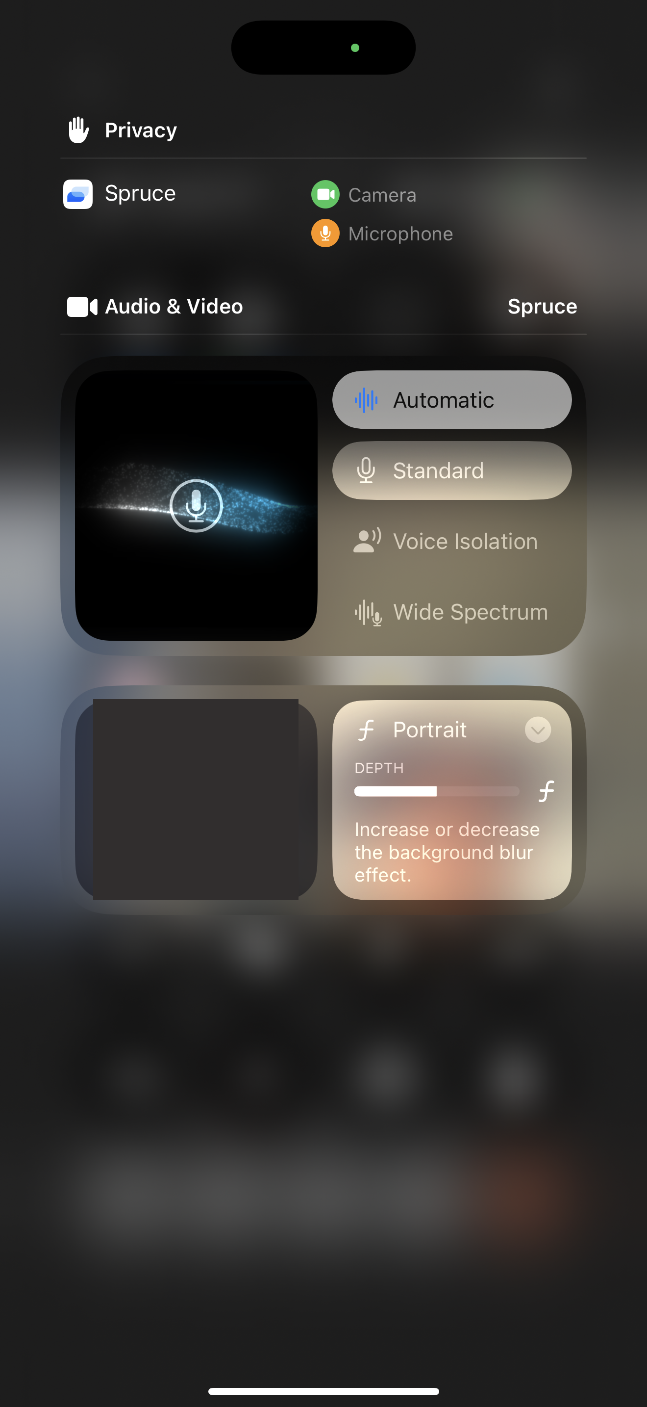 Video Calls and Spruce Visits – Spruce Health
