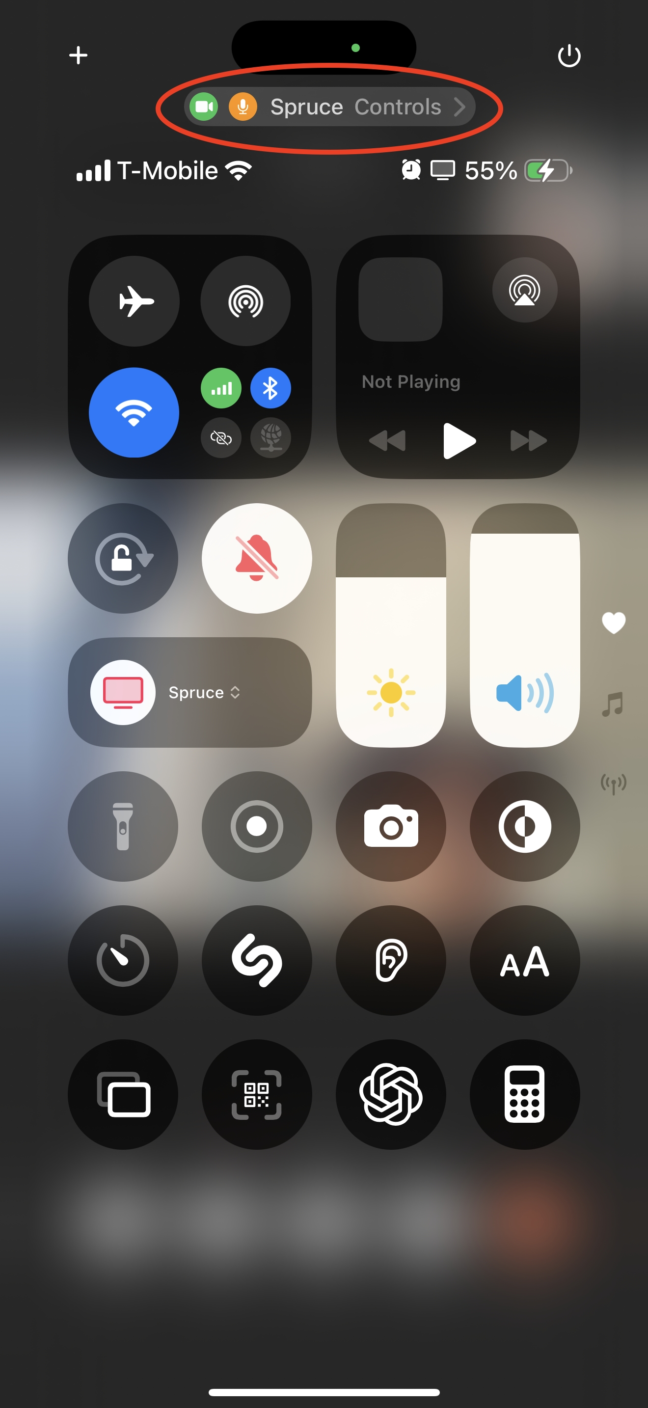 Video Calls and Spruce Visits – Spruce Health