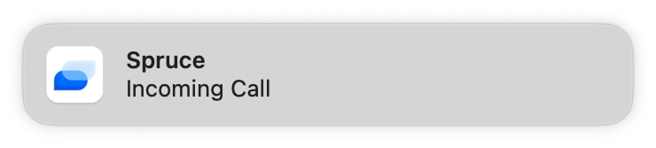 Web & Desktop Phone Calls – Spruce Health