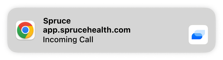 Web & Desktop Phone Calls – Spruce Health